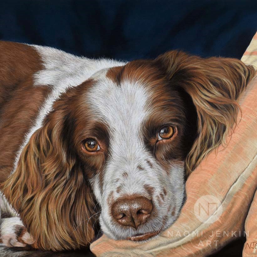 Dog Portraits | Professional UK artist | 5 Star Google Ratings